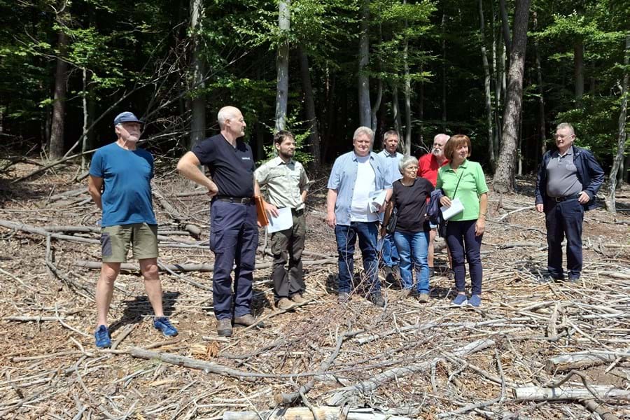 Waldbegehung des Kommunalwaldes | Markt Eschau